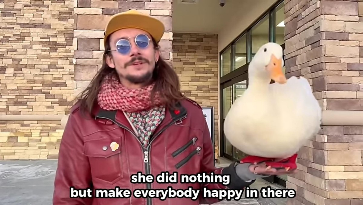 Youtuber leva pato de estimação a loja de conveniência e acaba expulso ...