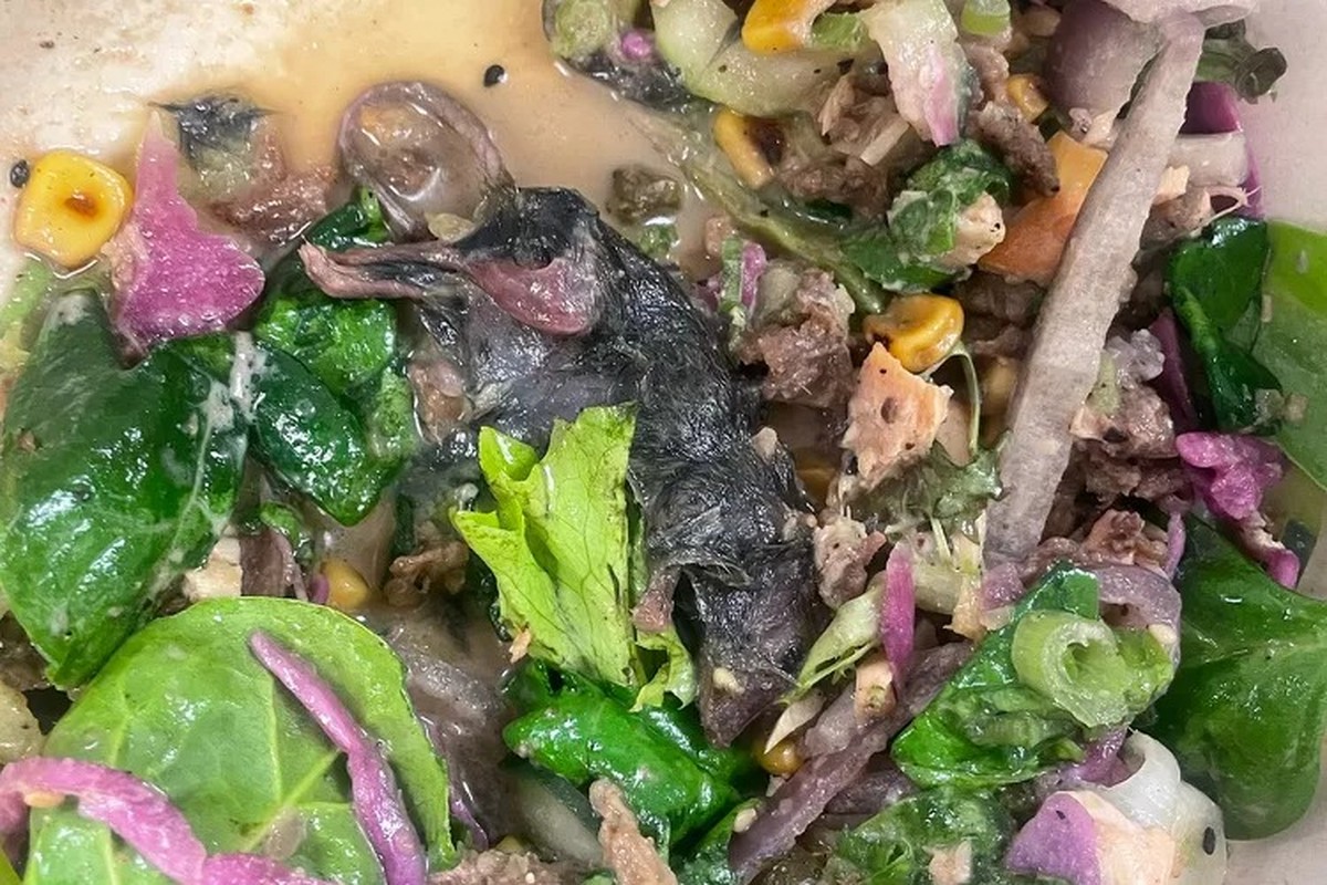 Cliente afirma ter encontrado rato morto em salada comprada em ...