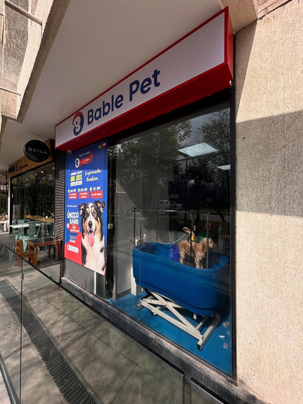 Para cães e perros: franquia de banho e tosa sem agendamento fundada em ...