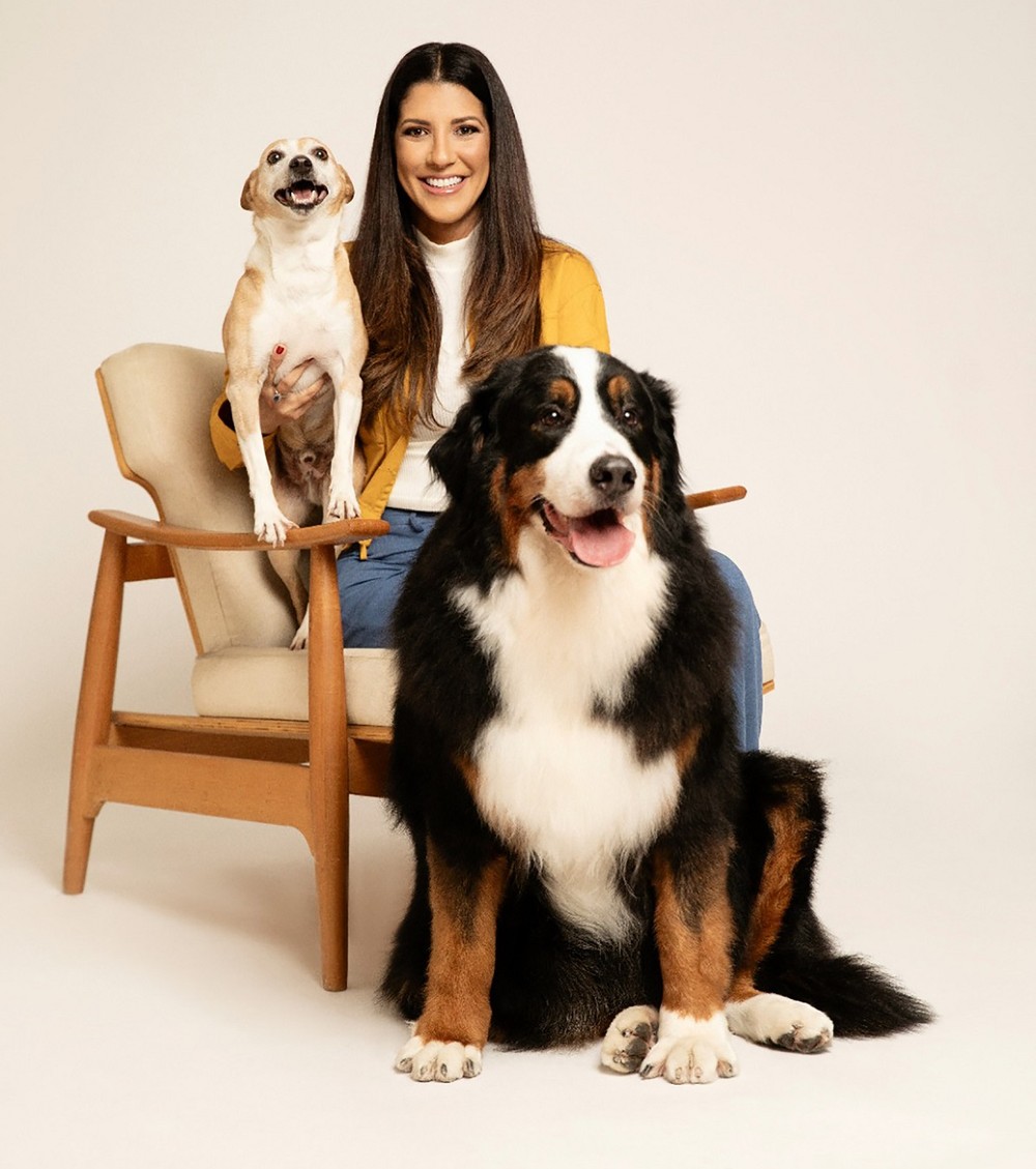 Pousada para pets — que aceita humanos — fatura R$ 1,8 milhão e cresce ...