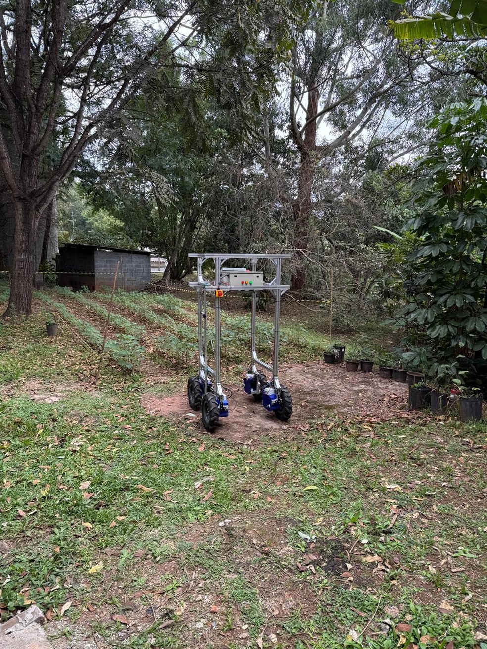 Startup cria robôs autônomos para reduzir custos na plantação de algodão